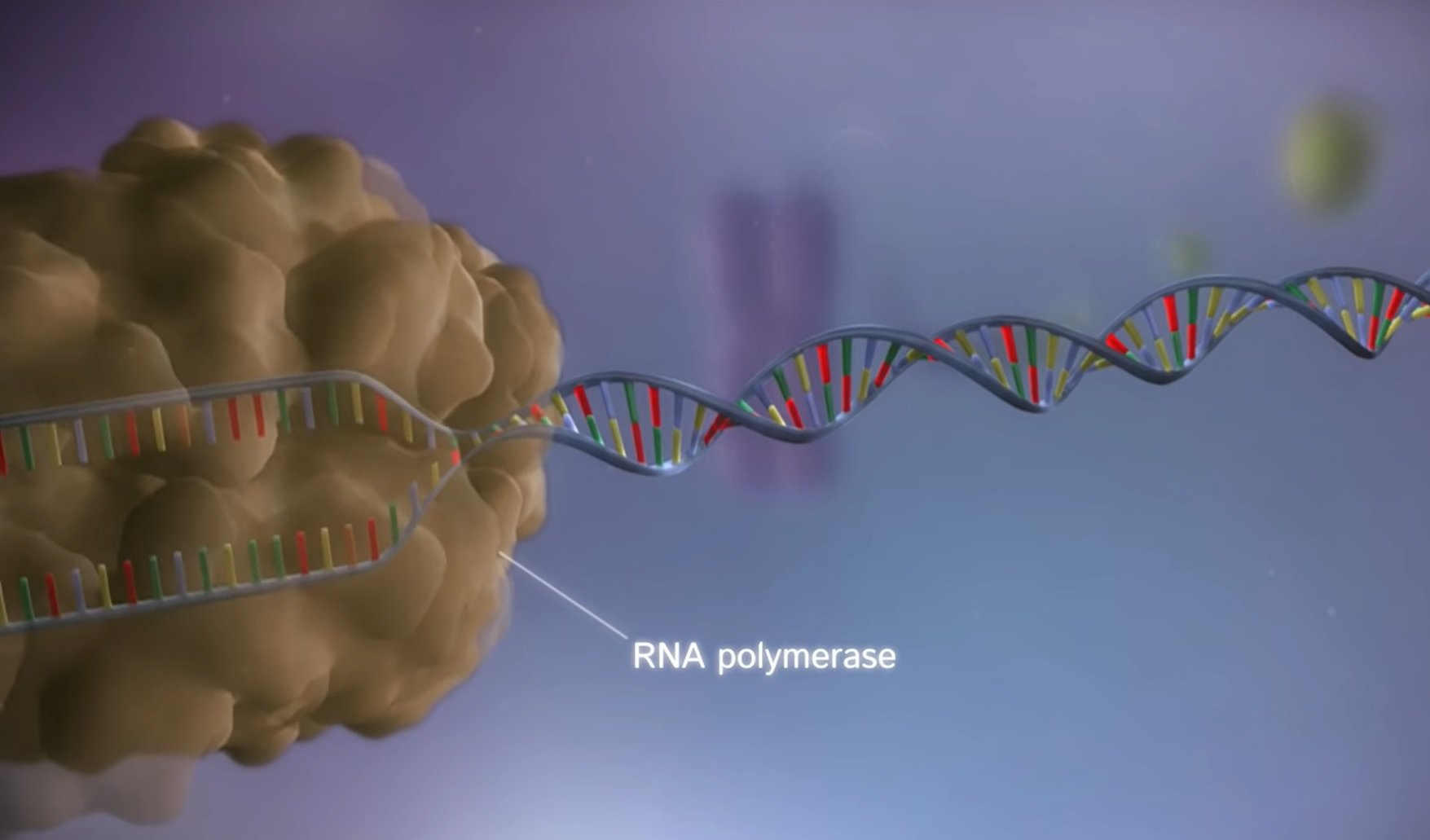 MENGENAL TES DNA DI RS PANTI WILASA “ Dr. CIPTO